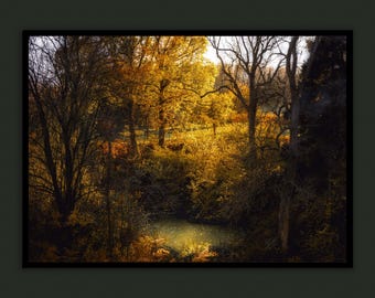Photography - Etsy UK