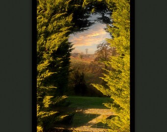 Photography - Etsy UK