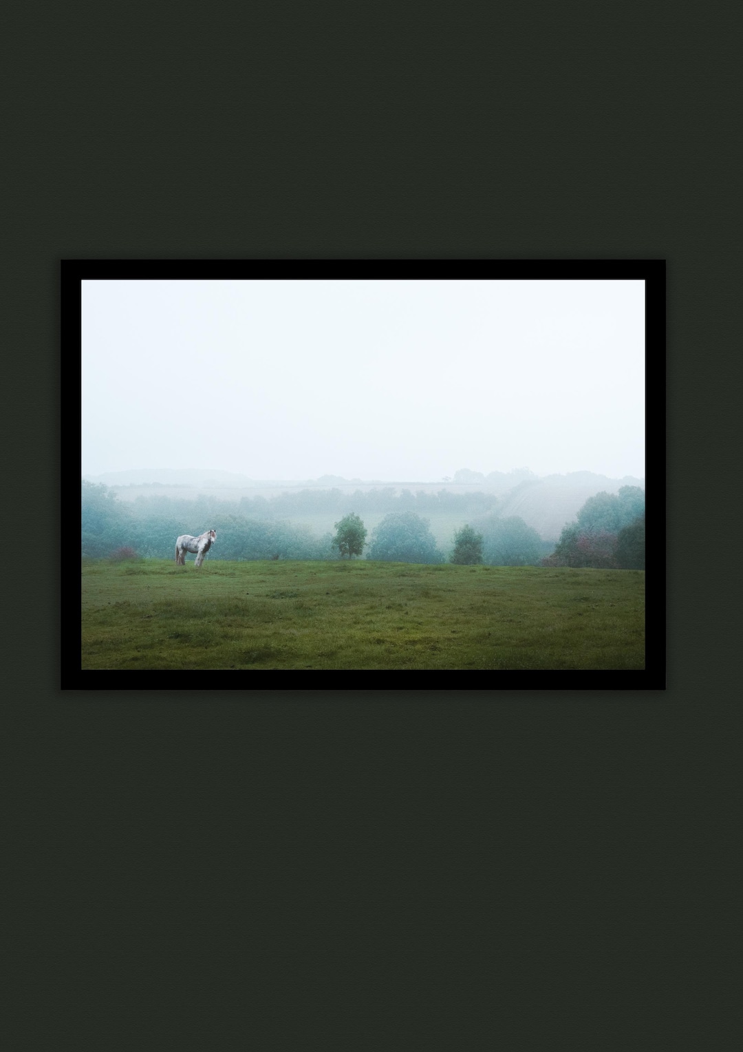 Horse in Fog Fine Art Print, English Countryside Art, Photography Print ...