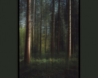 Photography - Etsy UK