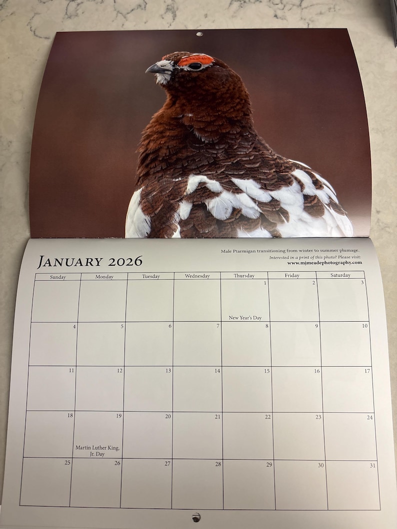 2026 Alaskan Calendar - Etsy