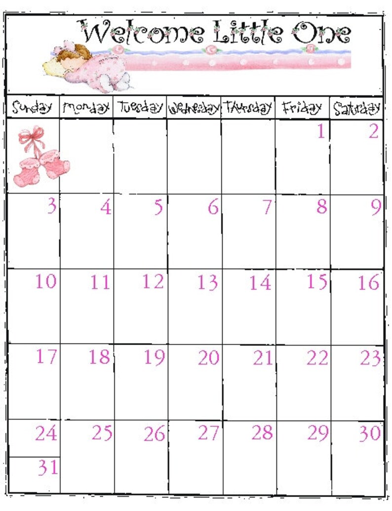 First Year Baby Calendar and Memory Book for GIRL 13 Month Calendar ...