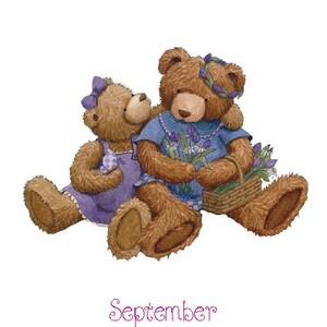 Little Girl Third Year Calendar and Memory Book 13 Month Calendar ...