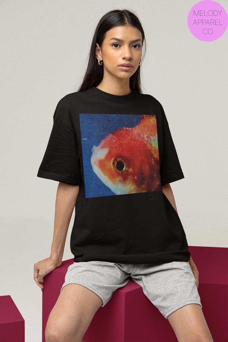 Vince Staples, Big Fish Theory Hoodie, Rap Hoodie, Album Art Hoodie ...