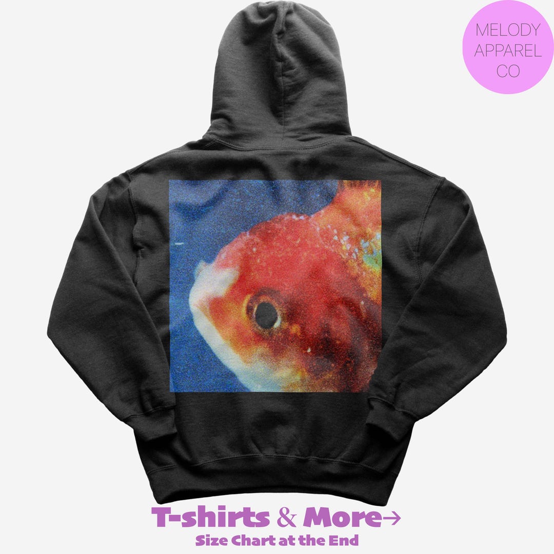 Vince Staples, Big Fish Theory Hoodie, Rap Hoodie, Album Art Hoodie ...