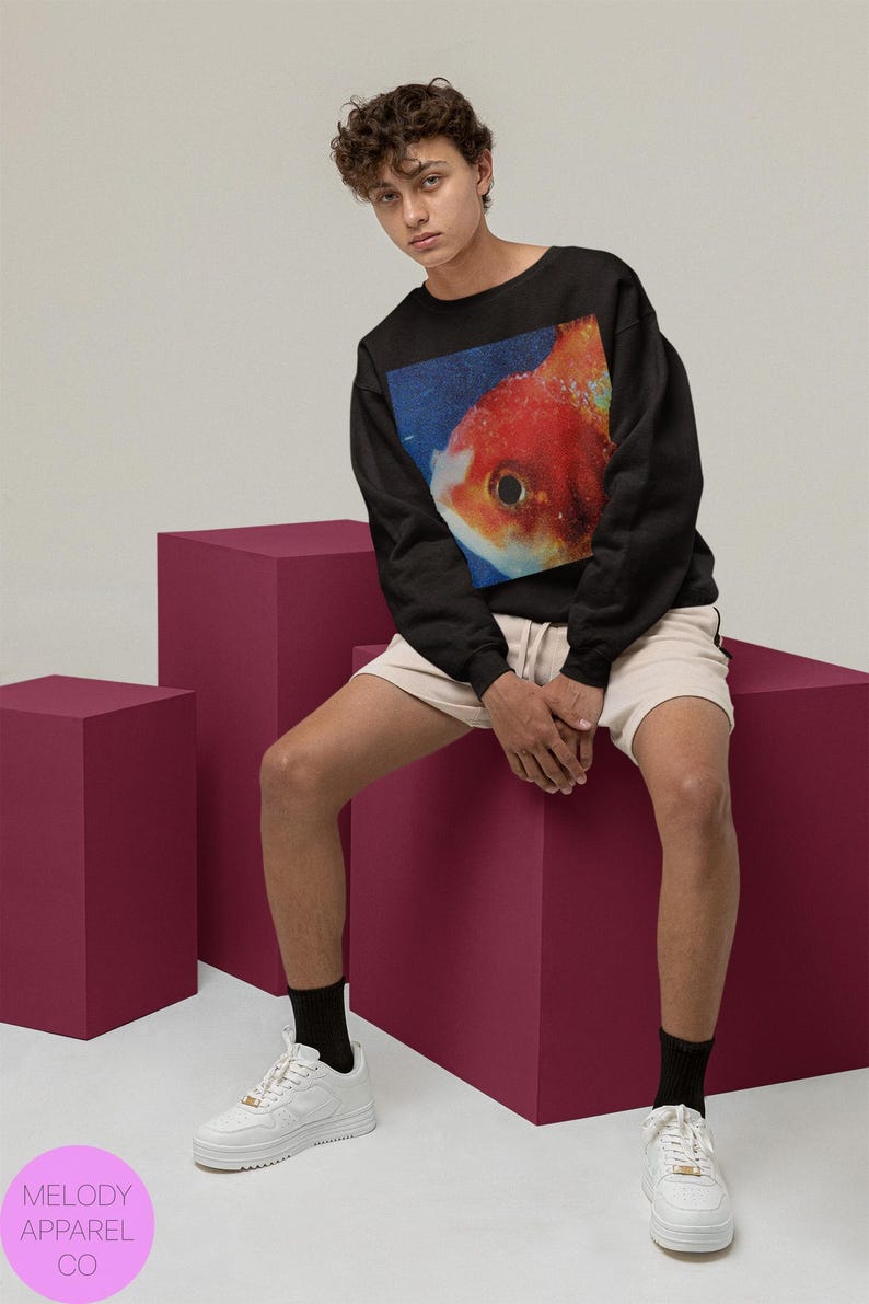 Vince Staples, Big Fish Theory Hoodie, Rap Hoodie, Album Art Hoodie ...
