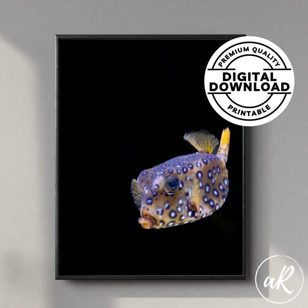Pufferfish, Photo, Print, Gift, Home Decor, Wild Animals, HD, HQ - Etsy