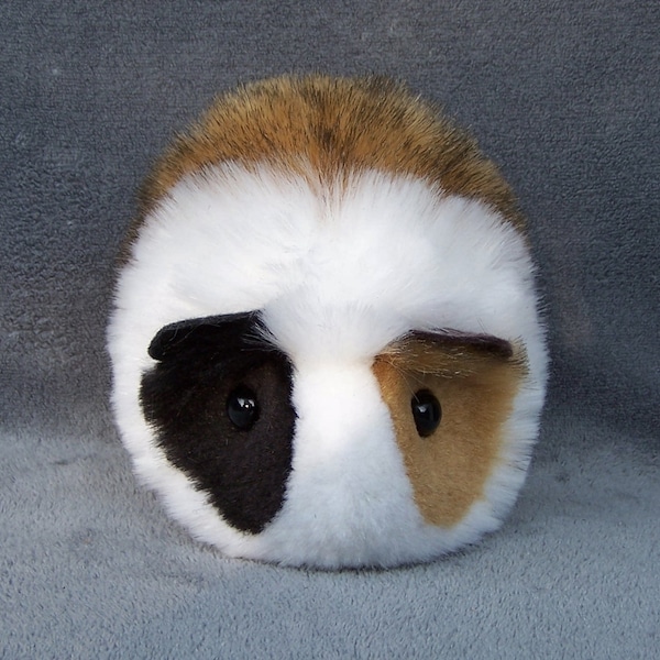 Calico Guinea Pig - Etsy