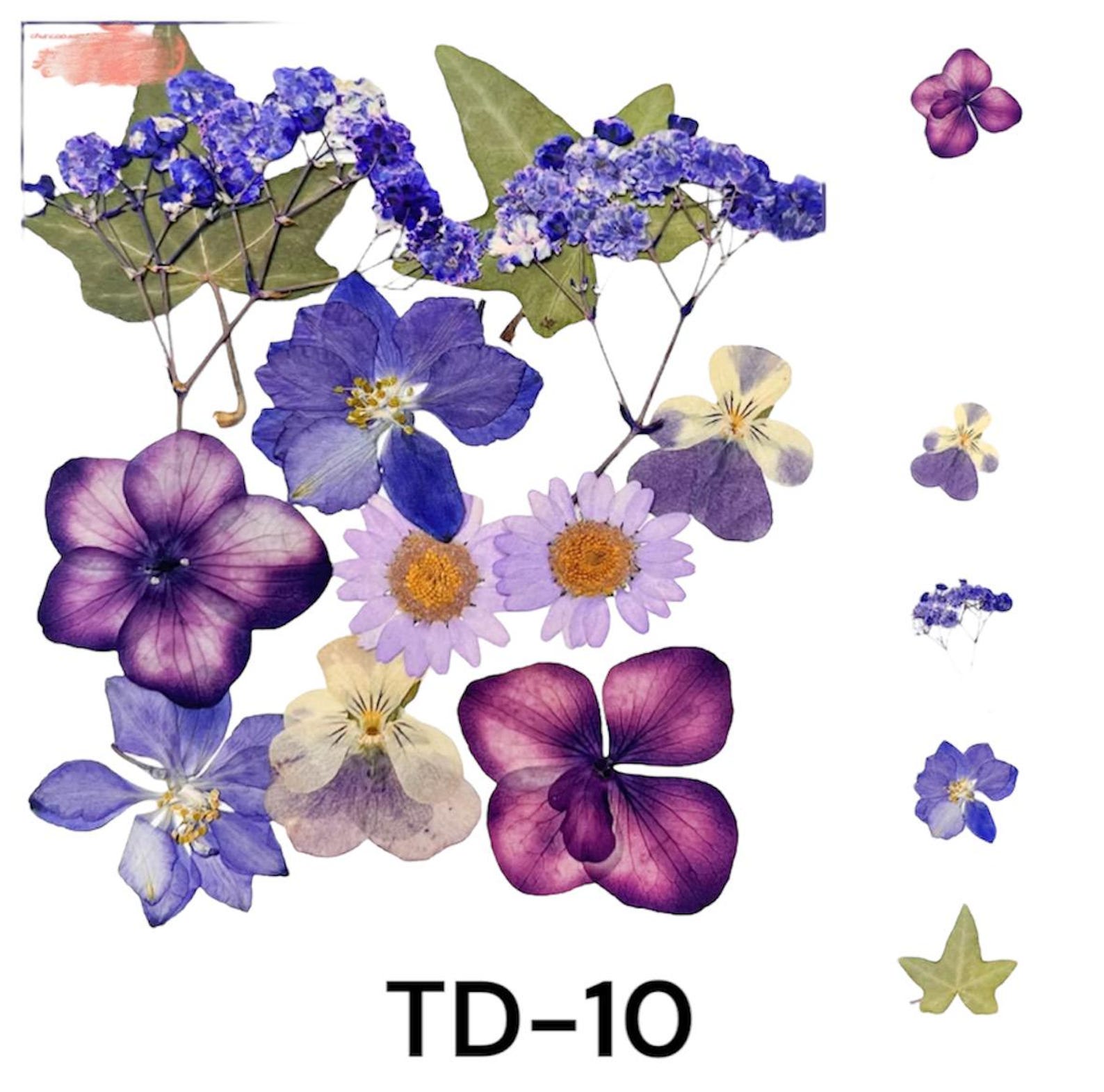 DIY Pressed Flower Phone Case Kit Create Your Own Nature-inspired ...