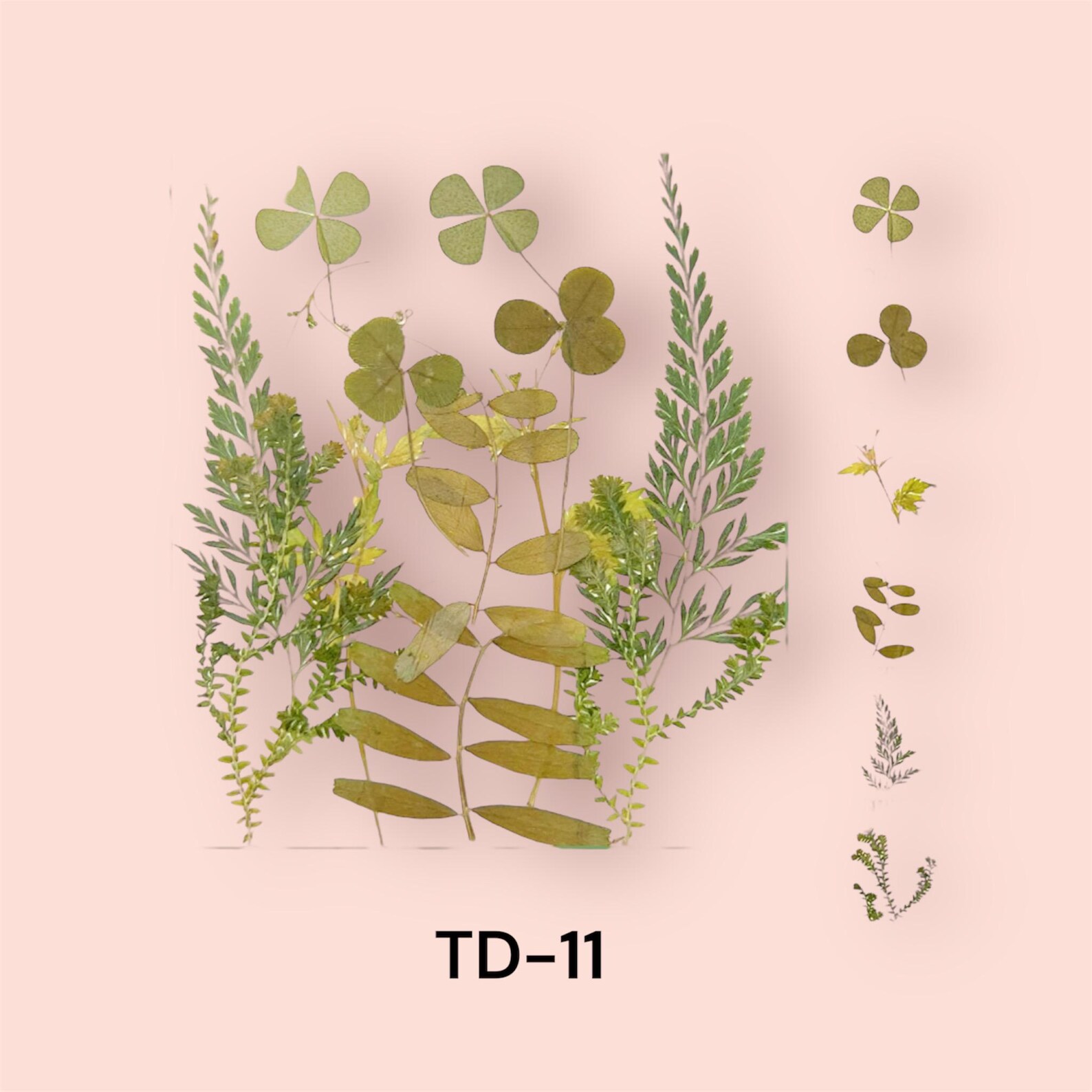 DIY Pressed Flower Phone Case Kit - Create Your Own Nature-inspired ...