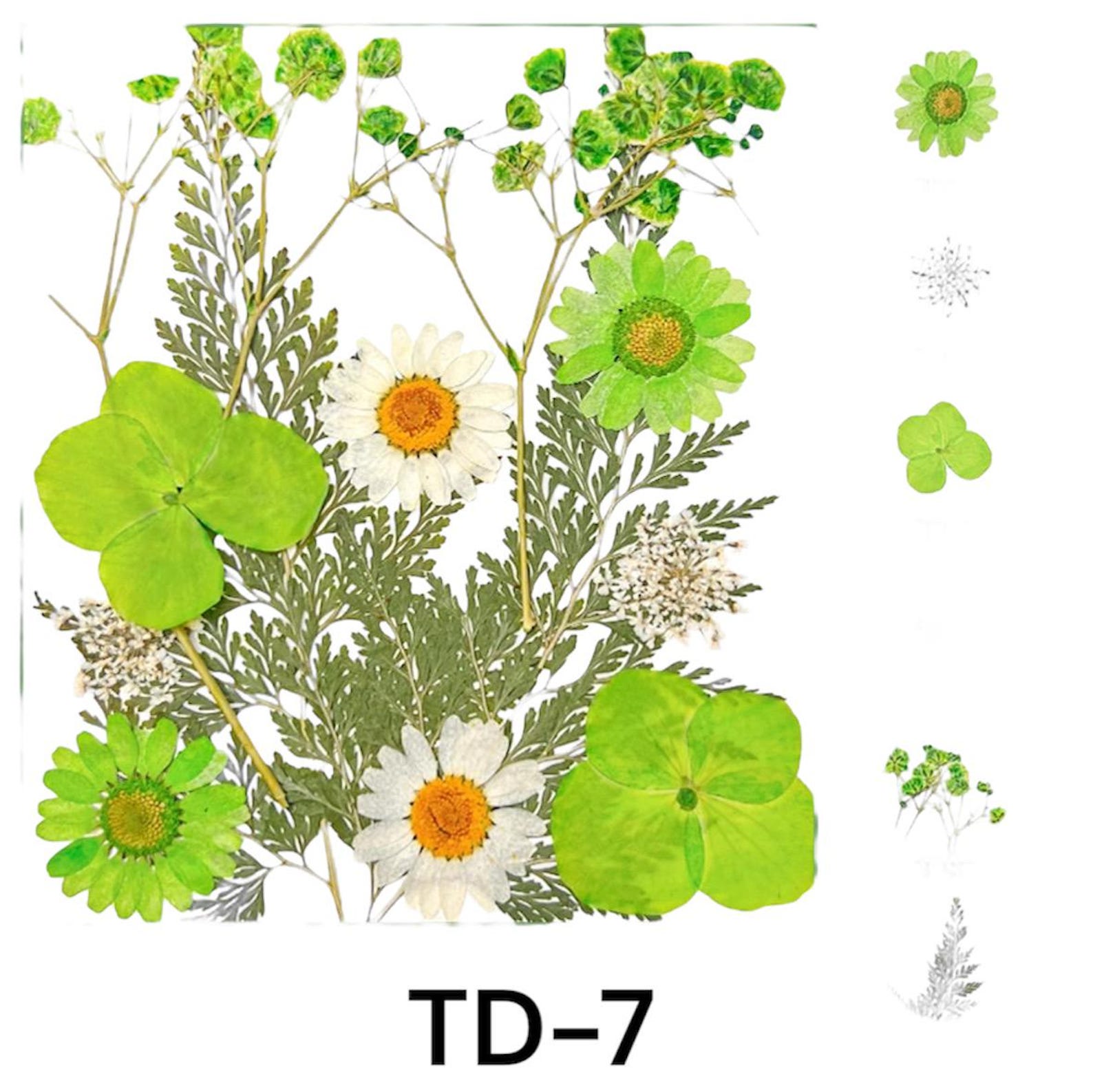 DIY Pressed Flower Phone Case Kit Create Your Own Nature-inspired ...