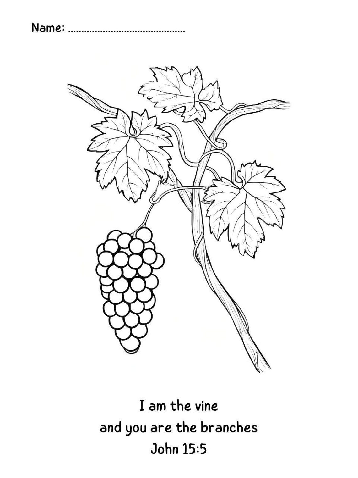 I Am the Vine - Colouring Page - Etsy