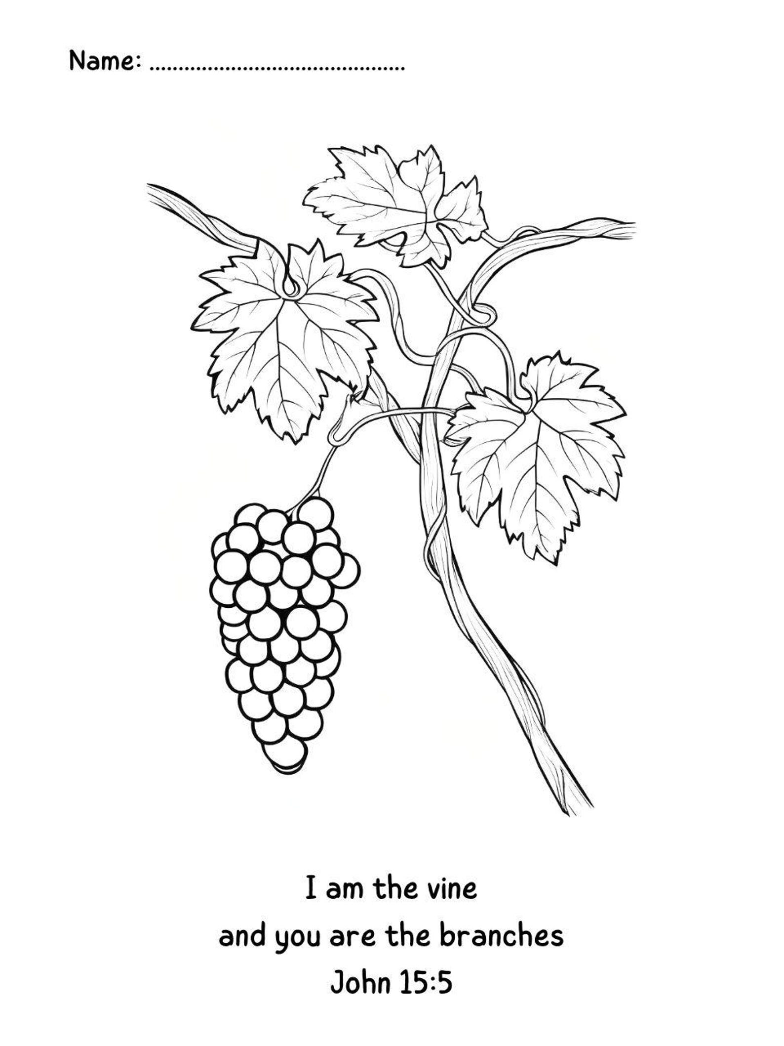 I Am the Vine - Colouring Page - Etsy
