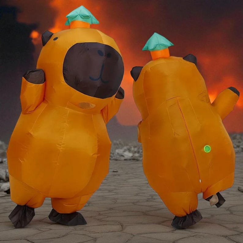 Inflatable Capybara Costume Cosplay Funny Blow up Capybara Suit for ...