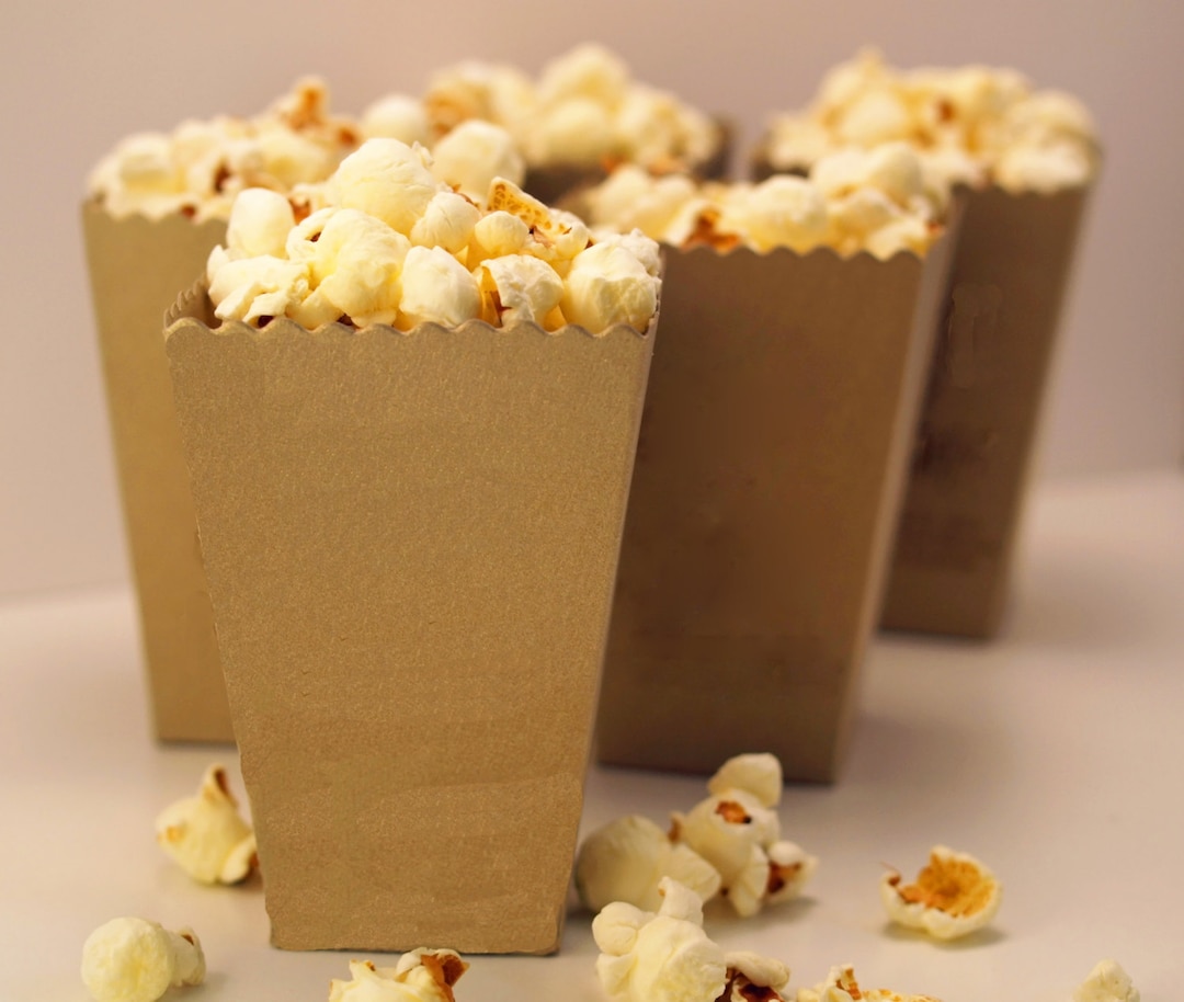 Mini Popcorn Favor Box - Wedding Popcorn Favor - Blank Metallic Paper ...