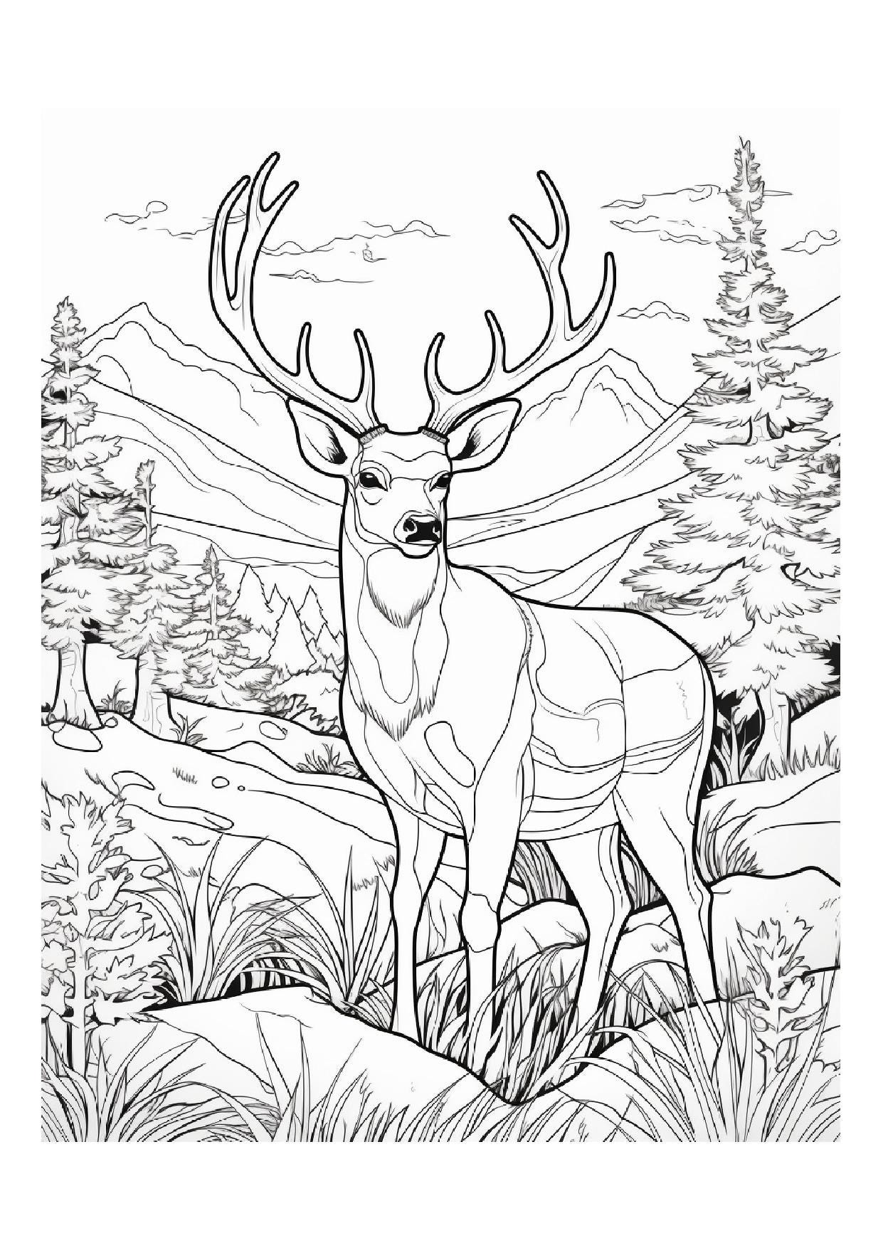 Wildlife Wonders Coloring Pages - 50 Unique Animal Designs for ...