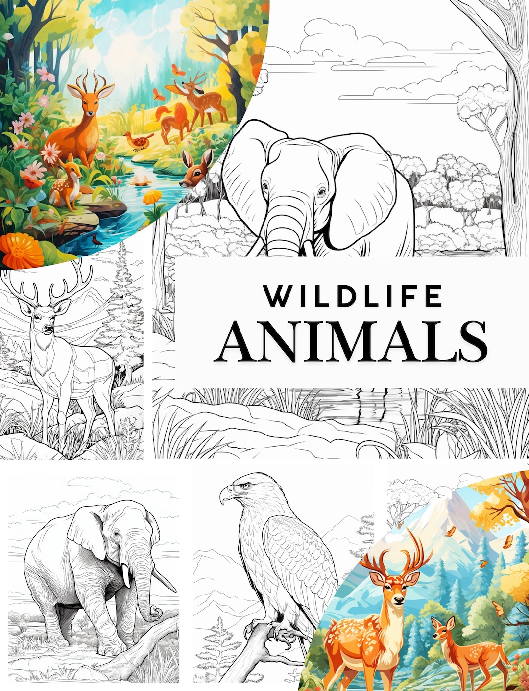 Wildlife Wonders Coloring Pages - 50 Unique Animal Designs for ...