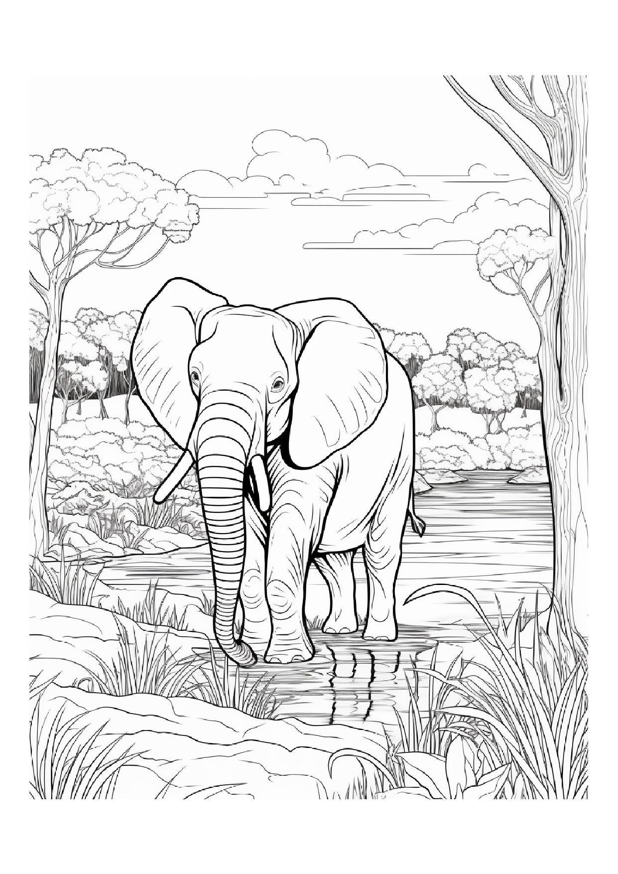 Wildlife Wonders Coloring Pages - 50 Unique Animal Designs for ...