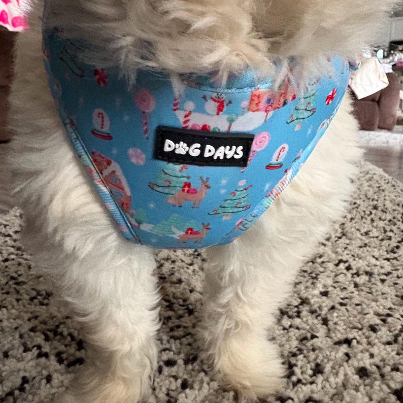Winter Wonderland Dog Harness Set - Includes Harness, Leash, Collar ...