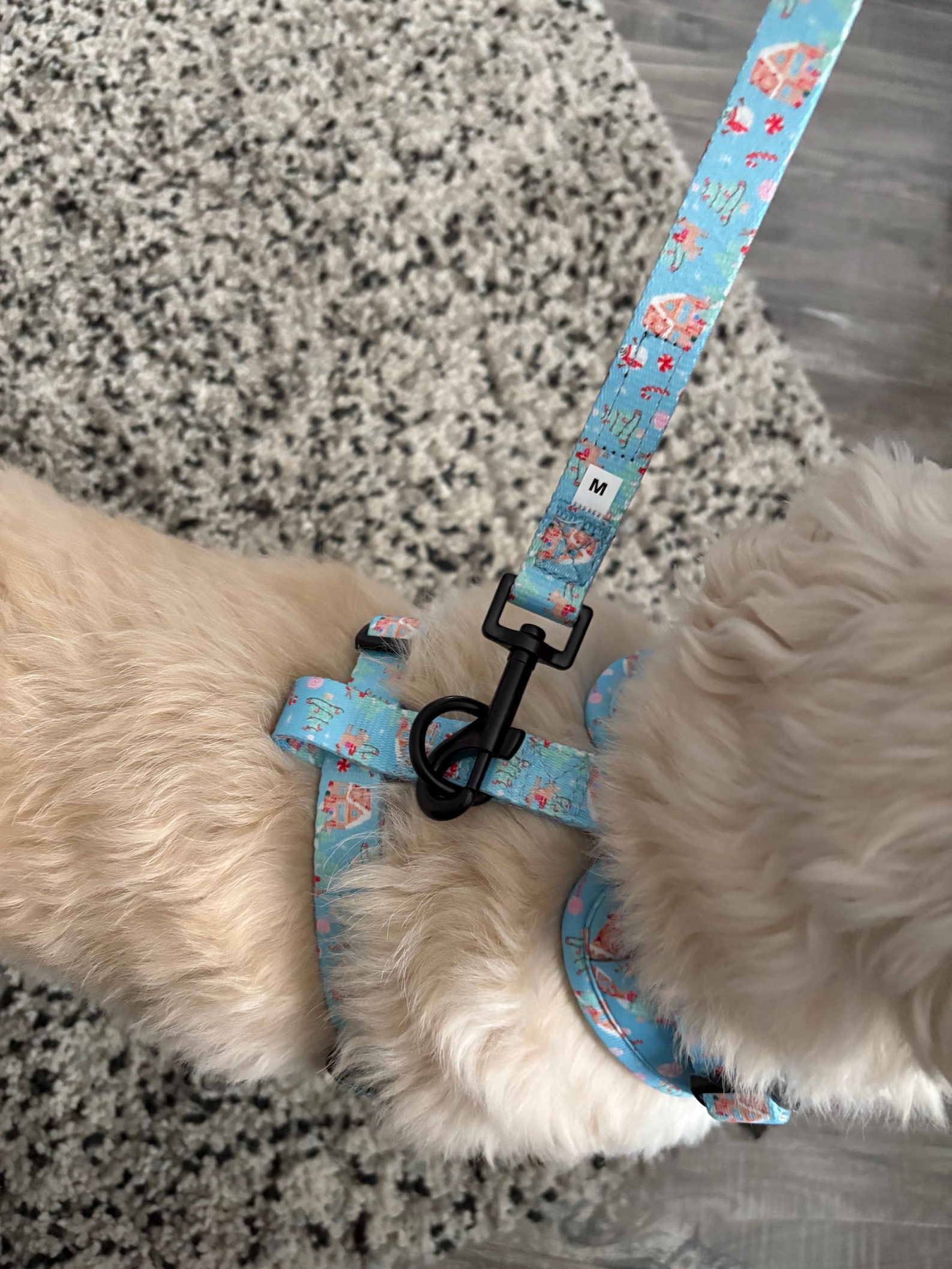 Winter Wonderland Dog Harness Set - Includes Harness, Leash, Collar ...