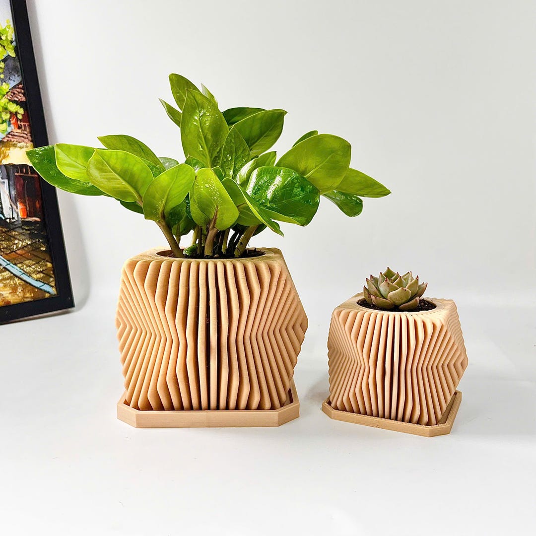 3D Printed Succulent Planter With Saucer: Modern Minimalist Decor - Etsy