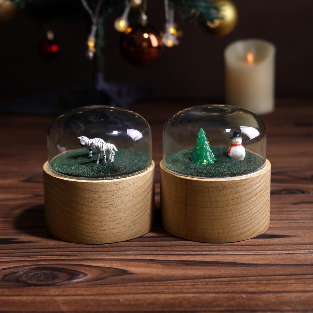 Personalized Magnetic Music Box Custom Wooden Engraved Music Box,zebra ...