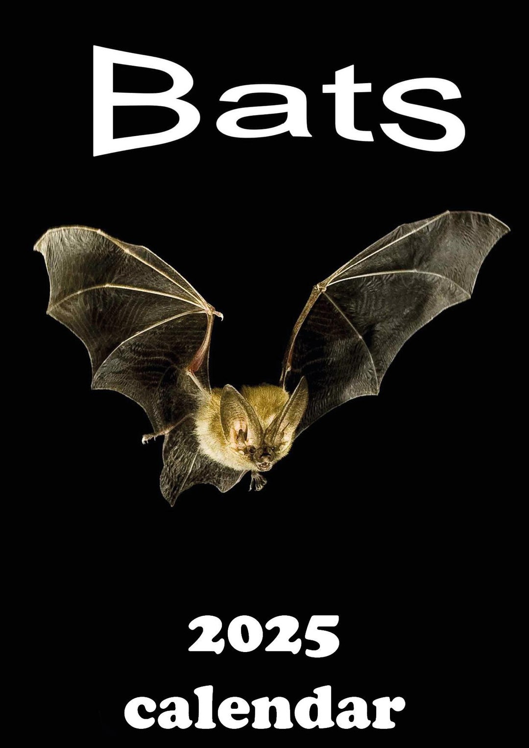 Bats Calendar - Etsy