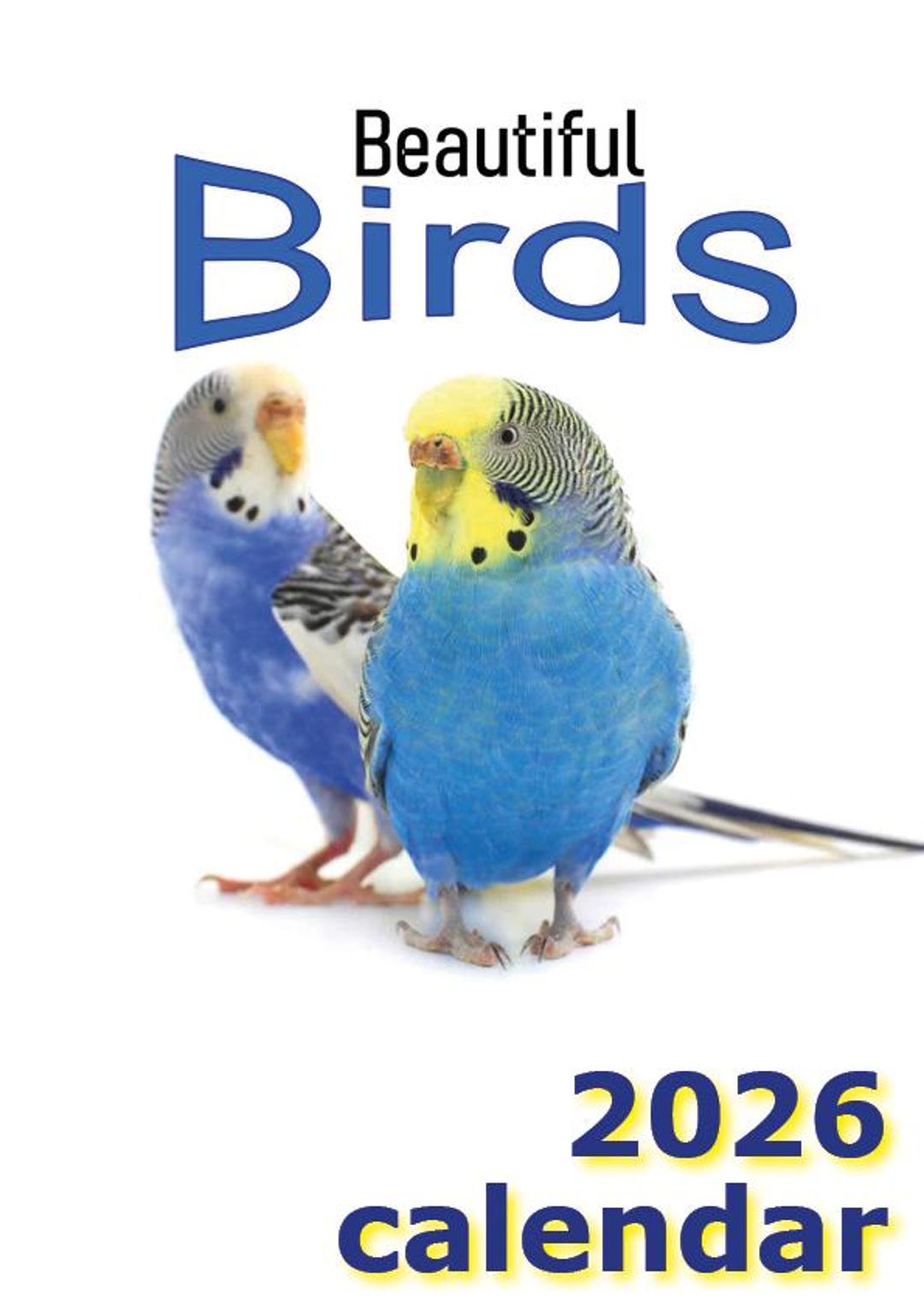 Bird Calendar 2026: Colorful Budgies, Personalized Option - Etsy