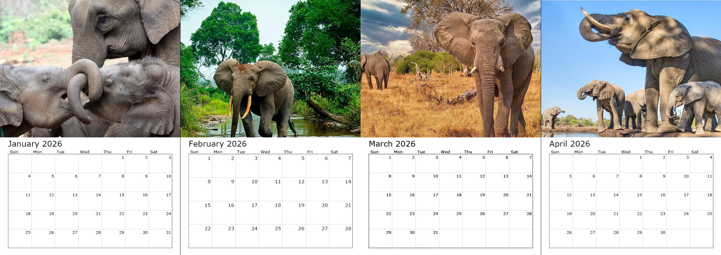 Elephant 2026 Calendar: Personalized, A4/A3 Sizes - Etsy