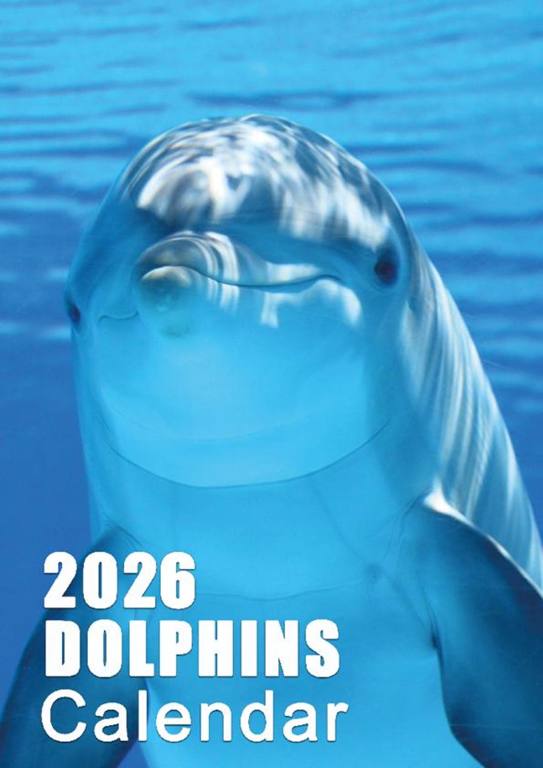Dolphin Calendar: 2026 Wall Calendar, Personalized Option - Etsy