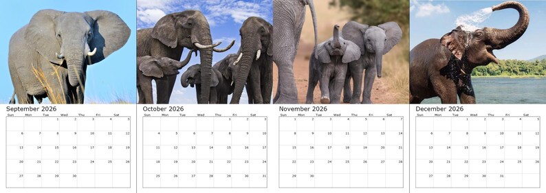 Elephant 2026 Calendar: Personalized, A4/A3 Sizes - Etsy