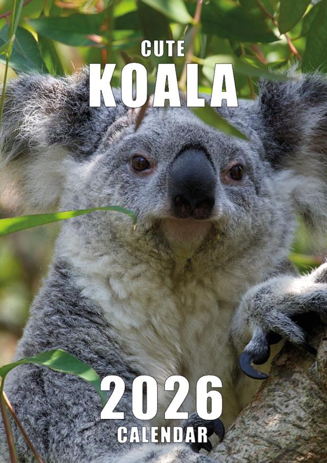 Koala Bears Calendar - Etsy
