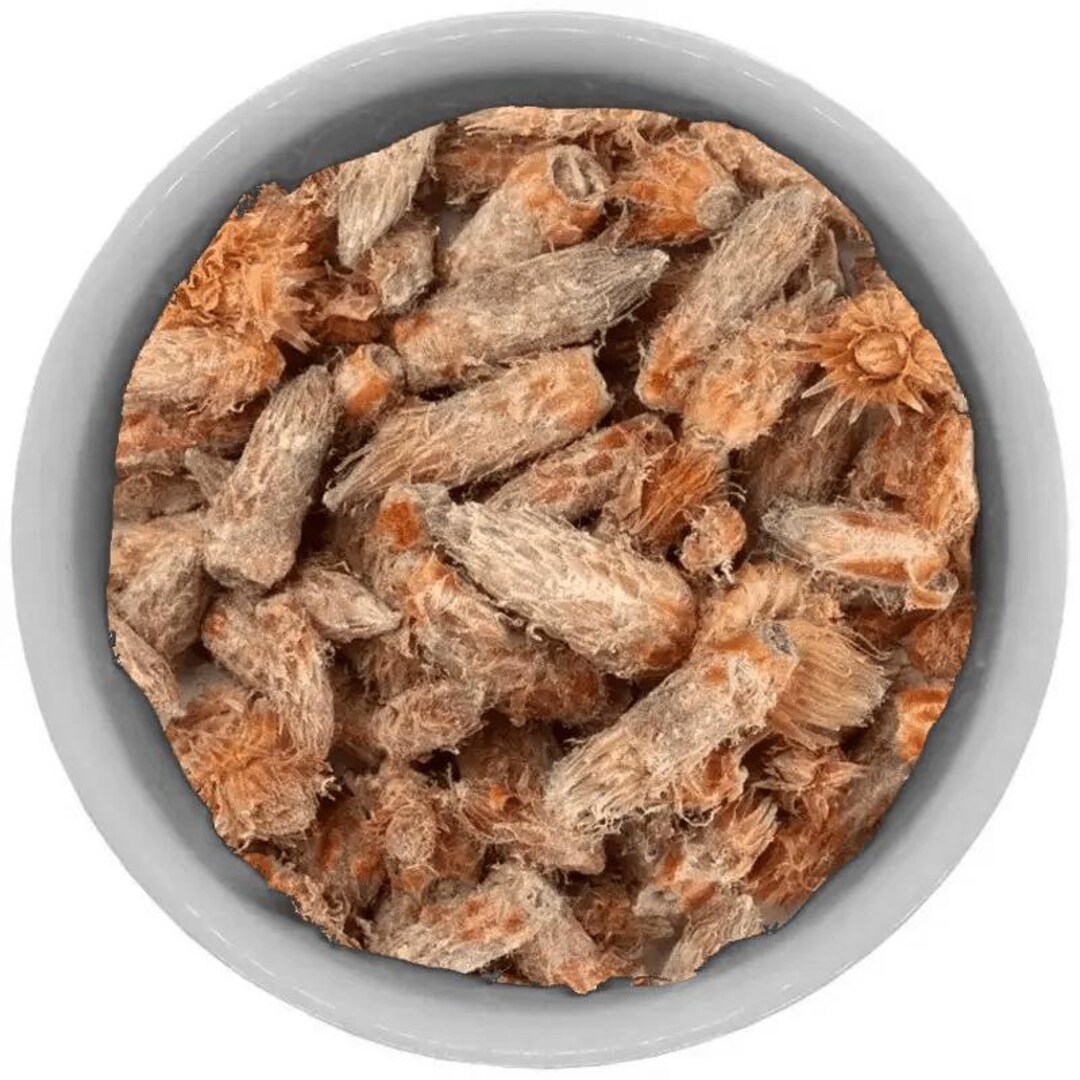 Organic Pine Buds | Pinus Sylvestris | Refreshing Herbal Tea | Dried ...