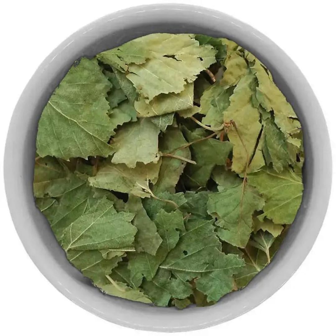 Organic Birch Leaves | Betula Pendula | Herbal Wellness Tea | Dried ...