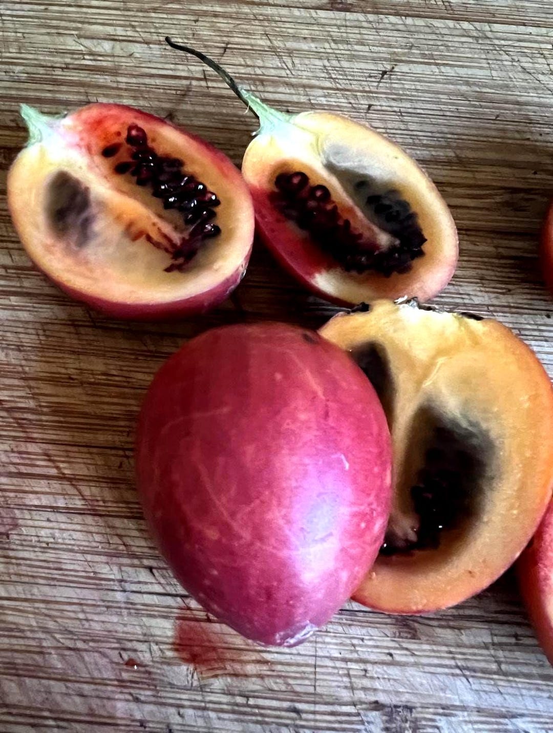 20 Red Tamarillo Tree Tomato Seeds - Etsy