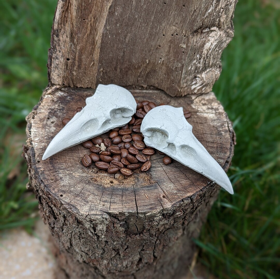 Concrete Bird Skull, Altar Decor, Bird Decor, Gothic Bird Gift ...