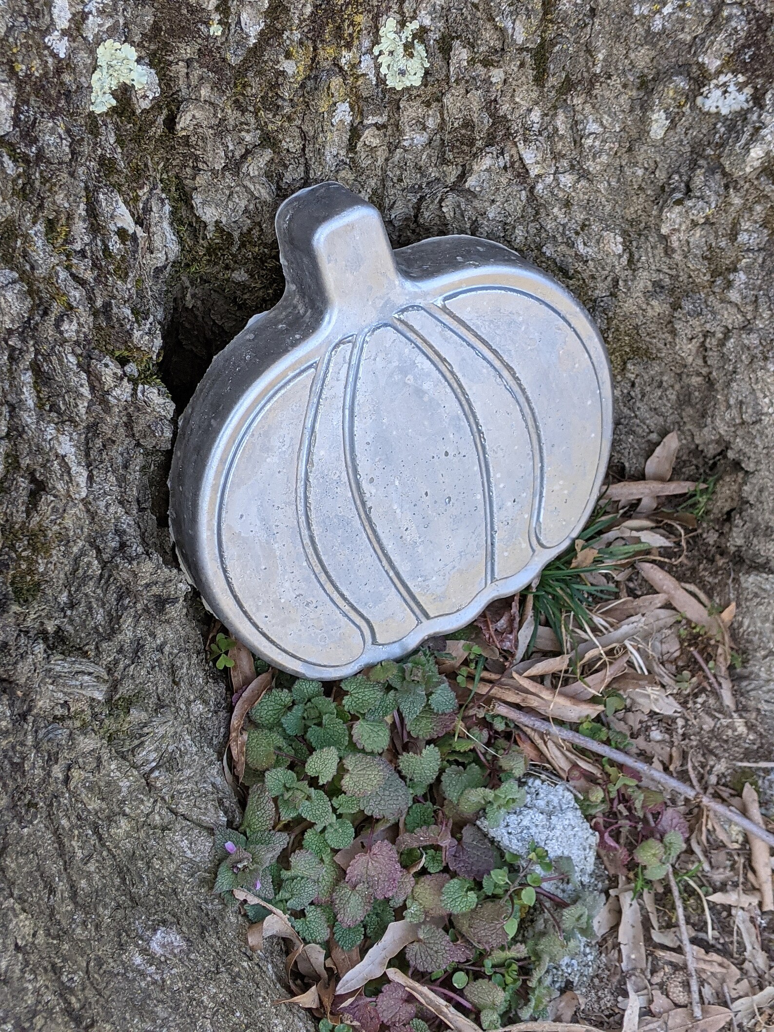Stepping Stone, Silver Concrete Pumpkin Stepping Stone, Pearl Dust ...