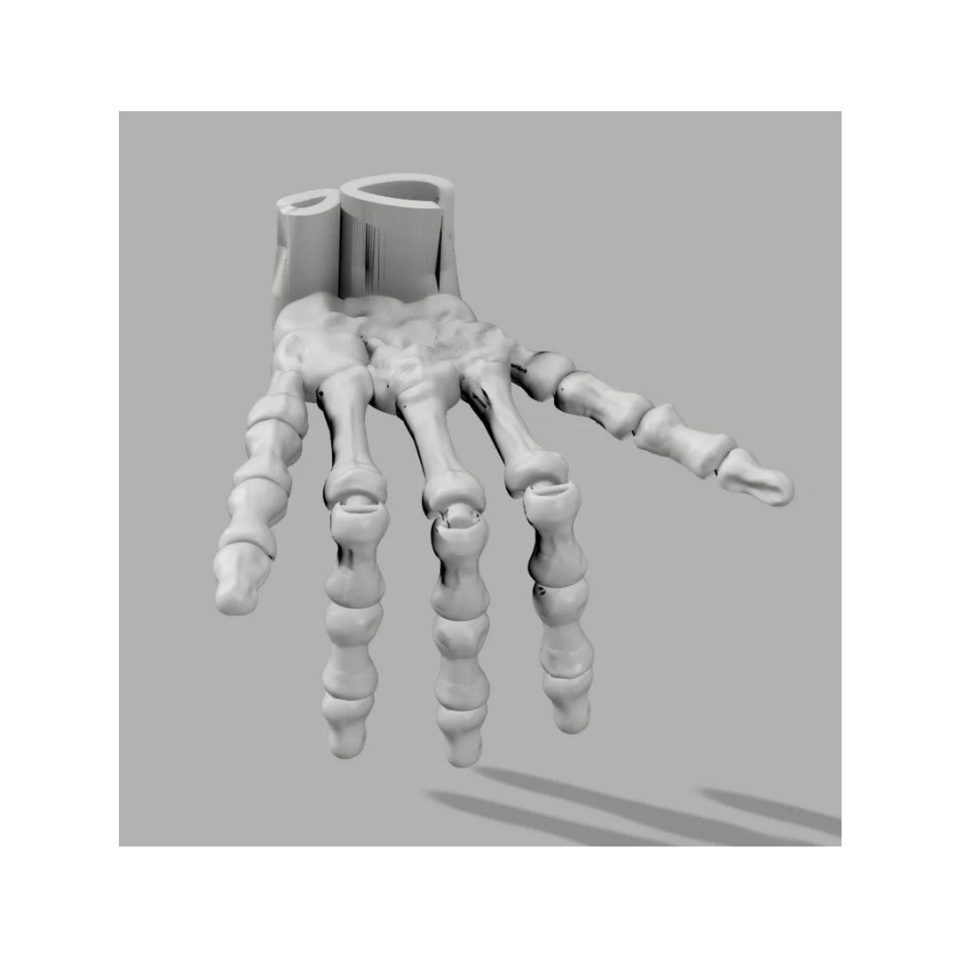 Articulated Skeleton Hands 3D Printer STL File - Etsy