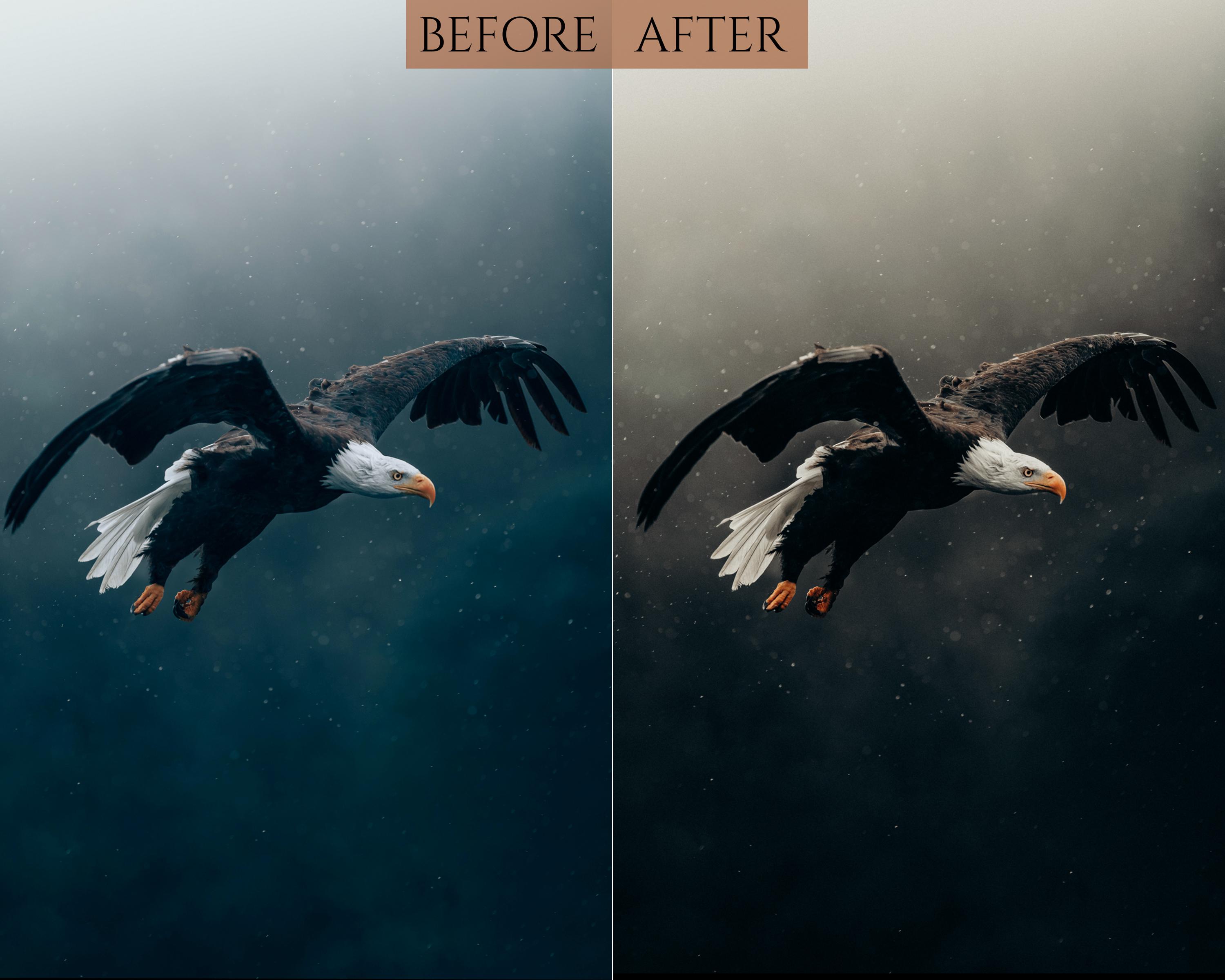 Animals Lightroom Presets – 10 Warm and Bright Filters for Mobile and ...