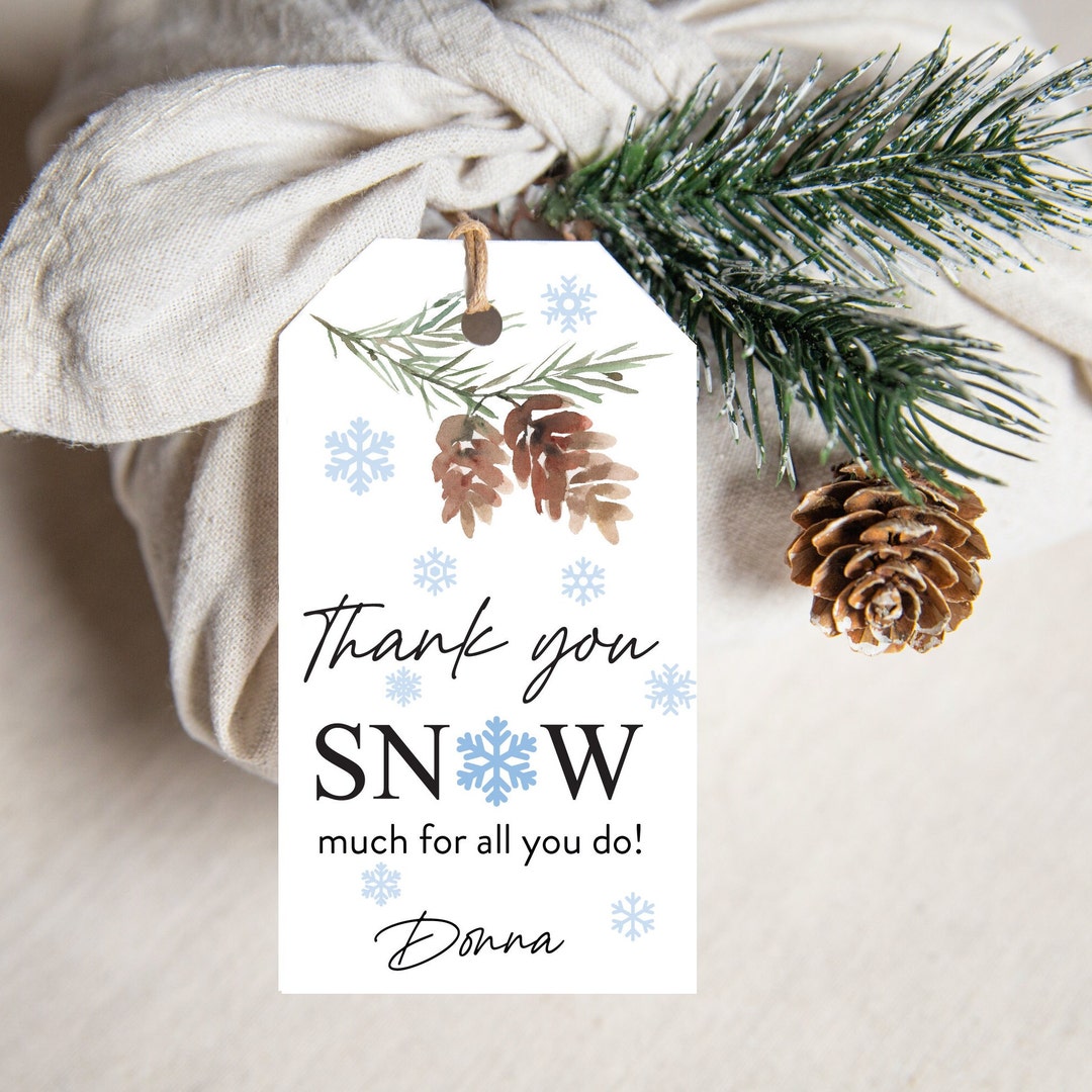 Thank You Snow Much Gift Tag, Thank You Snow Much Christmas Tags, Thank ...