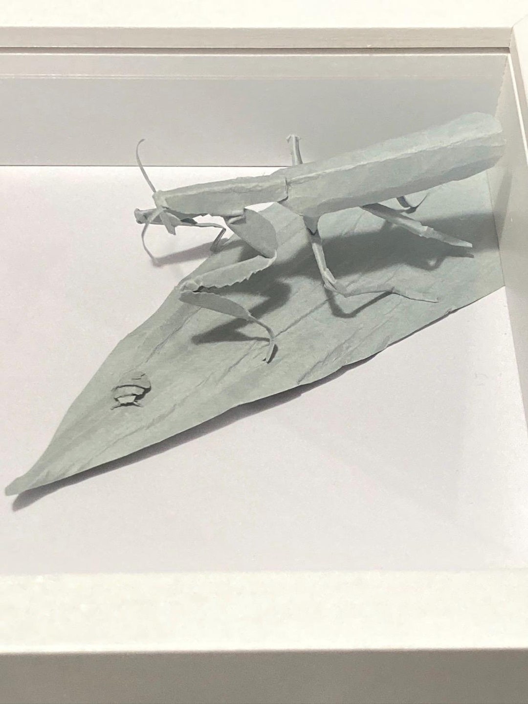 Paper Sculpture/ Praying Mantis / One of a Kind - Etsy
