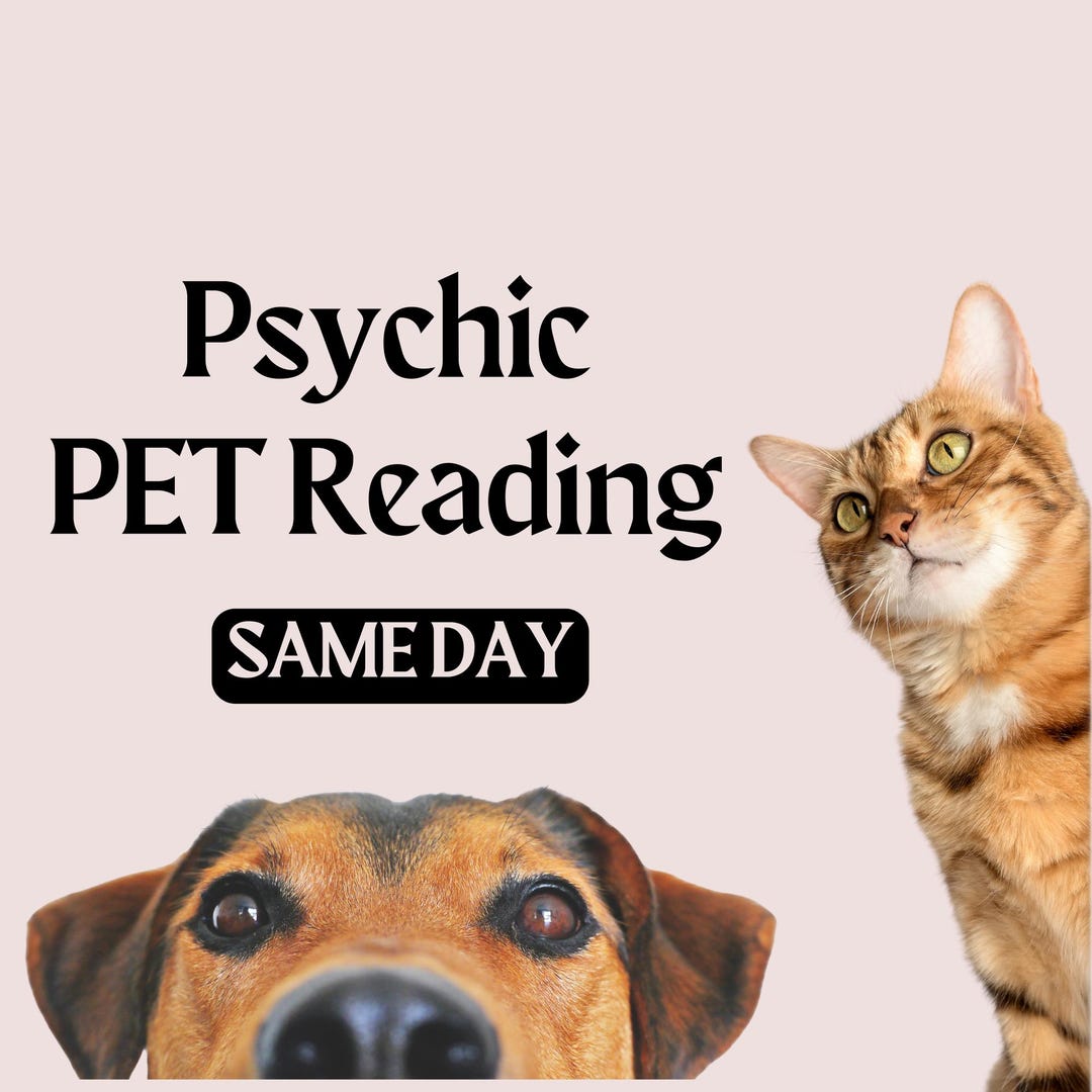 Telepathic Pet Reading, Psychic Reading for Any Pet, Clairvoyant, Your ...