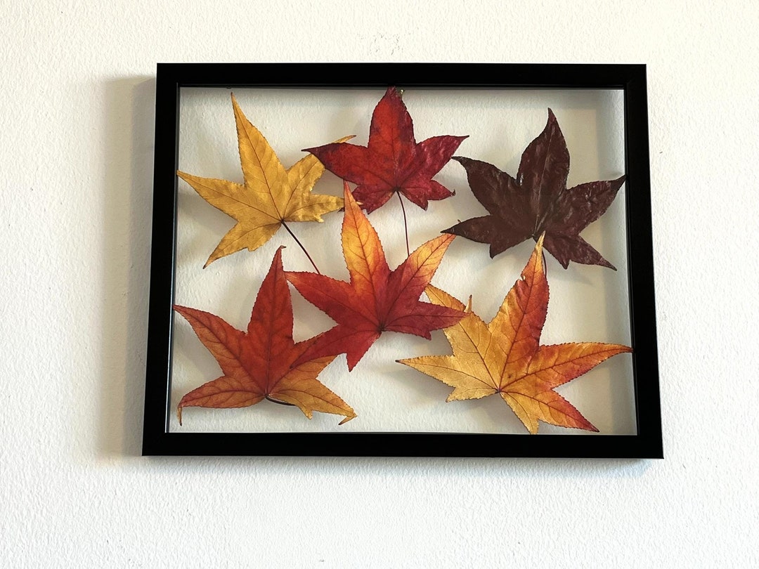 Real Autumn Fall Leaf Framed Artwork, One of a Kind Wall Art Decoration ...