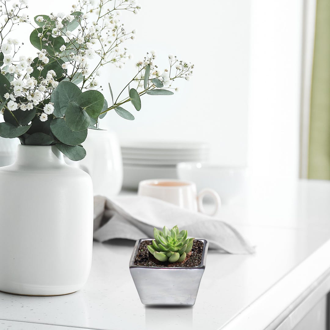 Succulent Pot, Short Square Pewter Silver-finish Pot, Succulent Pot - Etsy