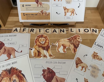 Unit Study African Lion Anatomy and Facts - Lesson Plans, Homeschool ...