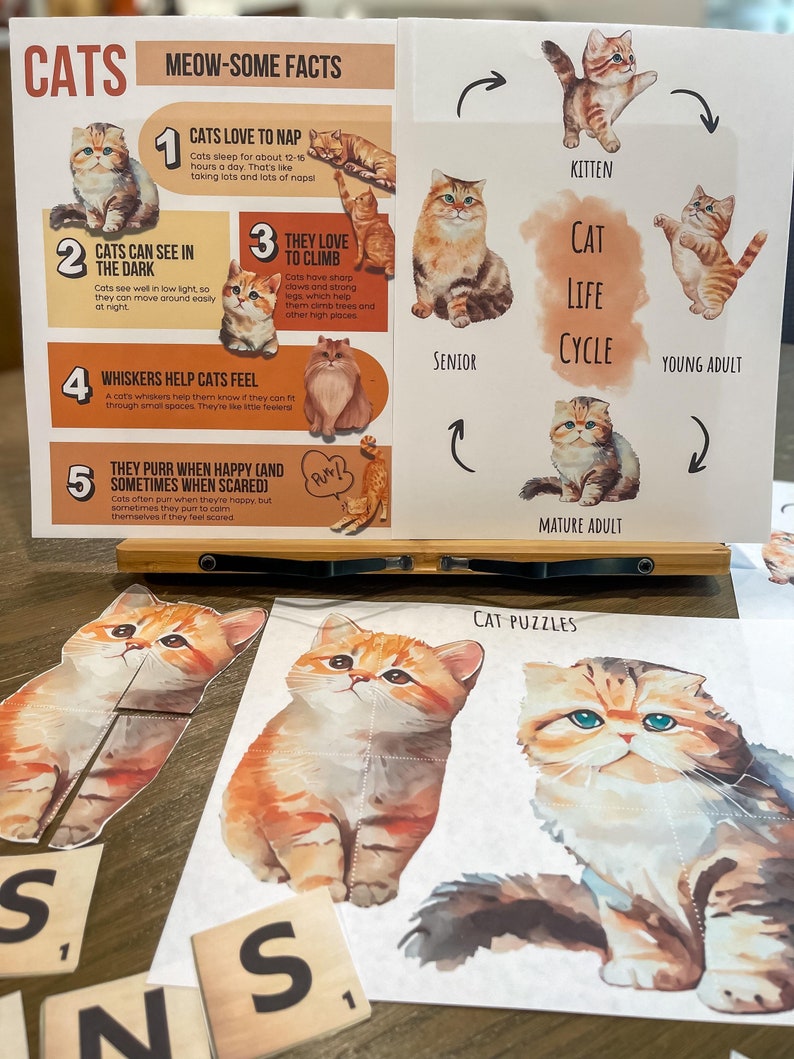 Cat Unit Study - Etsy