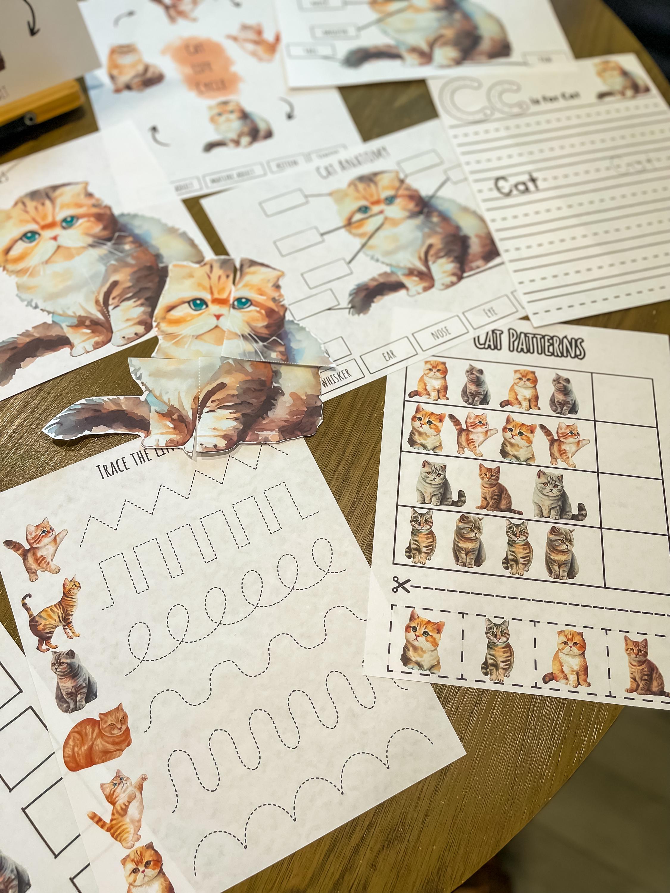 Cat Unit Study - Etsy