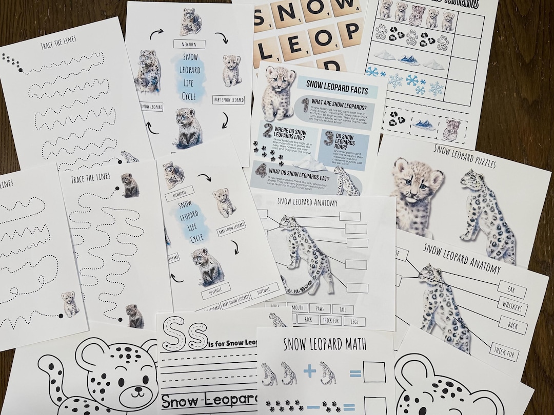 Snow Leopard Unit - Etsy
