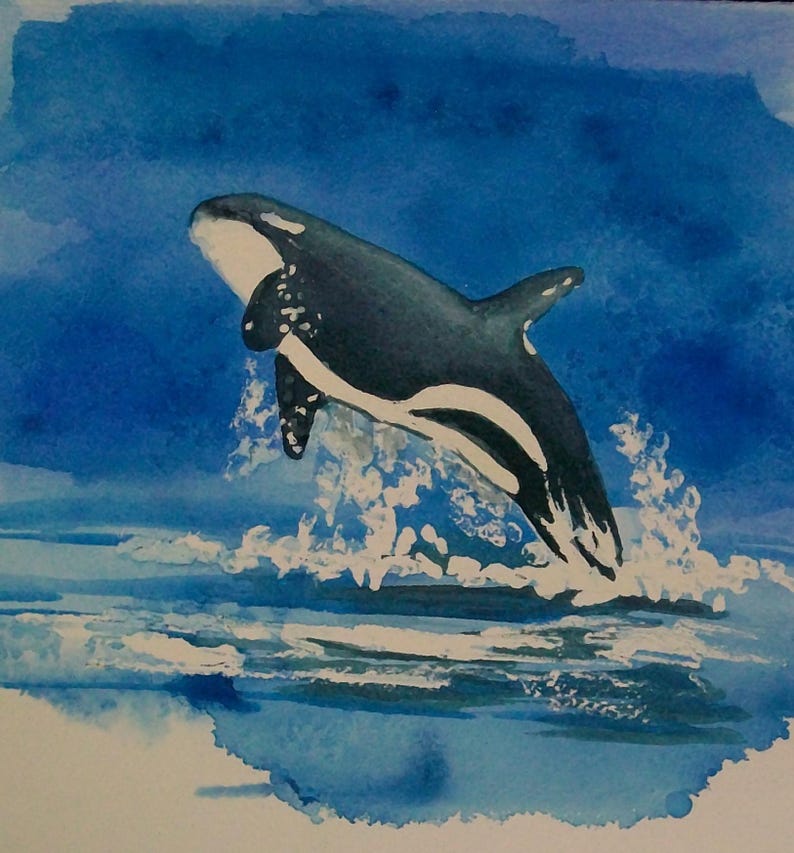 ORCA BREACHING - Etsy