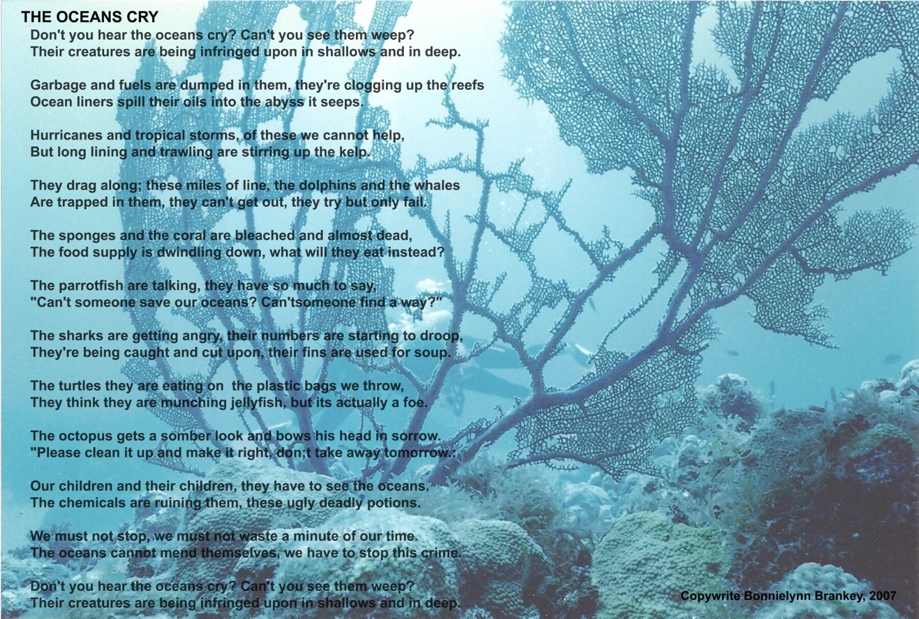 The Oceans Cry Poem - Etsy